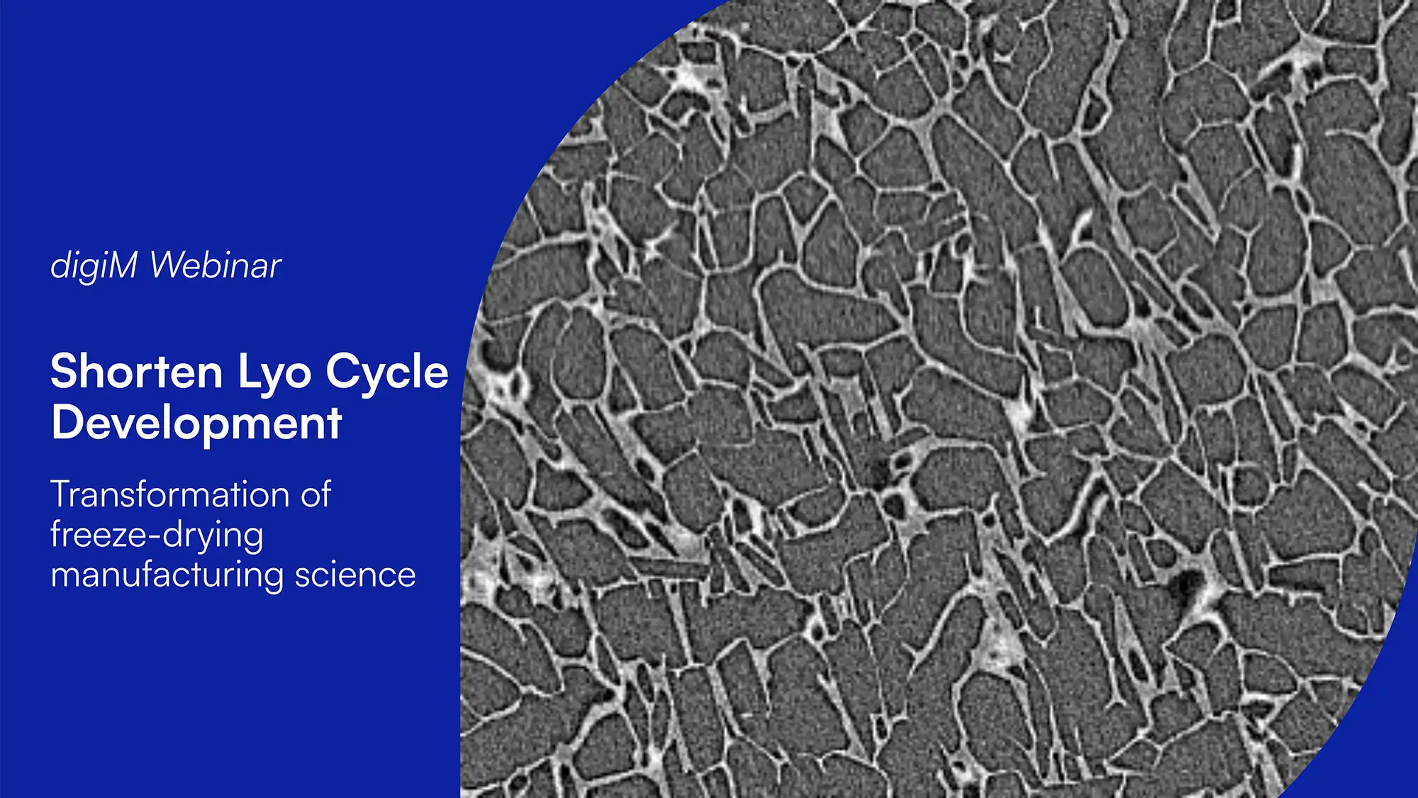 Digim Webinar Shortening Lyophilization Process Cycle Development